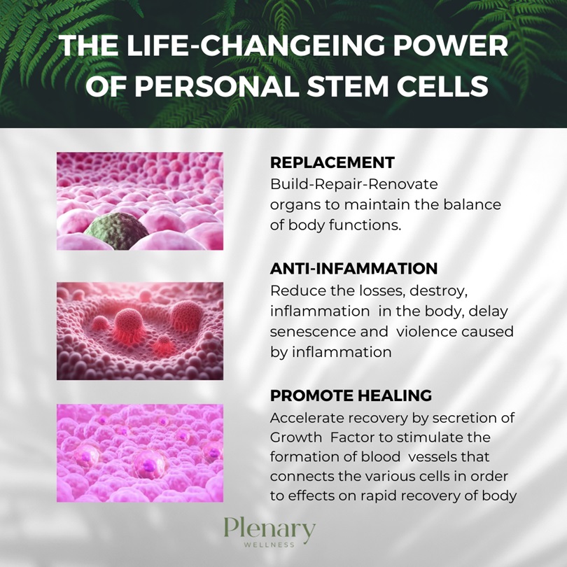 Stem Cell Therapeutics Phuket | Plenary Wellness Clinic